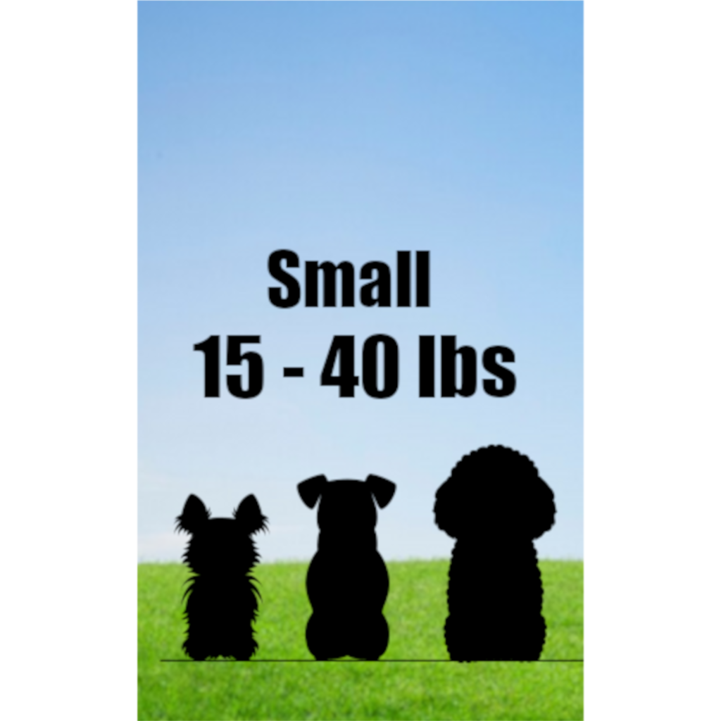 Dog Tie Out Stakes for Small Dogs – Double Dog Run